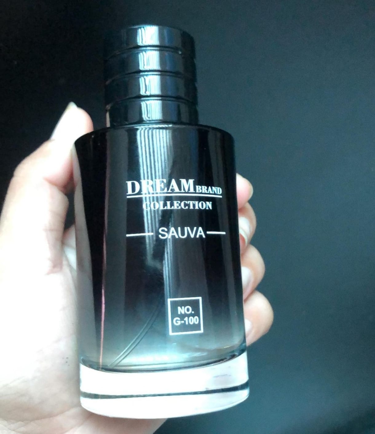 Sauvage 100 Ml Dream Brand Collection – Inspiração - Shopping Suno